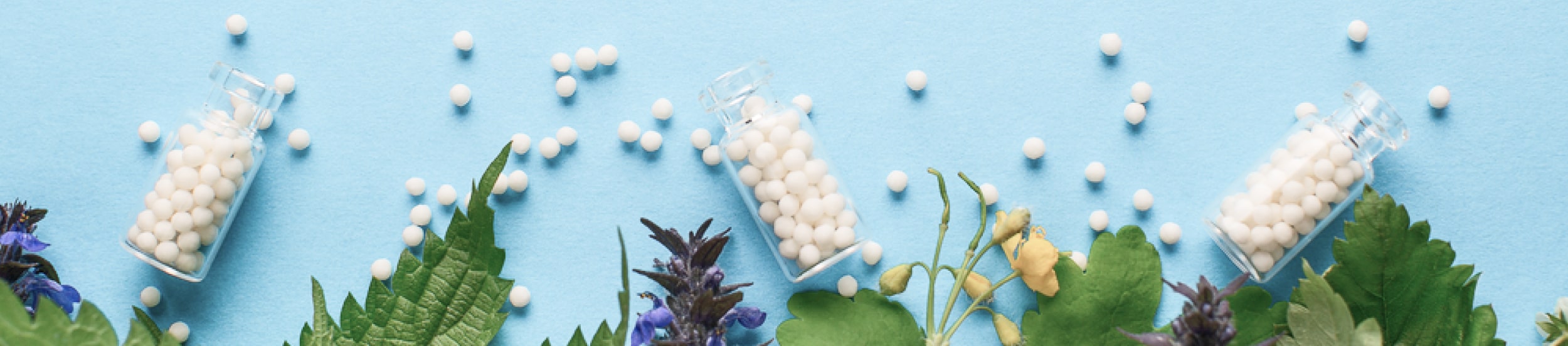 Best Homeopathic Treatment in Chandigarh - Pinaakin